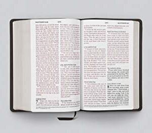 ESV Large Print Personal Size Bible (Buffalo Leather, Deep Brown)