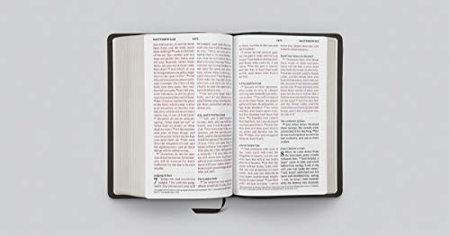 ESV Large Print Personal Size Bible (Buffalo Leather, Deep Brown)