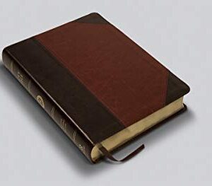 ESV Large Print Wide Margin Bible (TruTone, Brown/Cordovan, Portfolio Design)