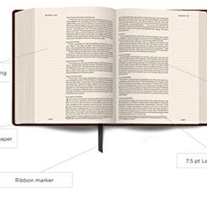 ESV Single Column Journaling Bible (Customizable Cover)