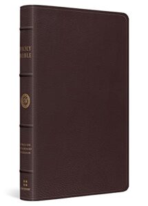 esv large print thinline reference bible (brown)