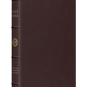 ESV Large Print Thinline Reference Bible (Brown)