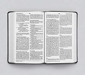 ESV Large Print Value Thinline Bible (TruTone, Black)