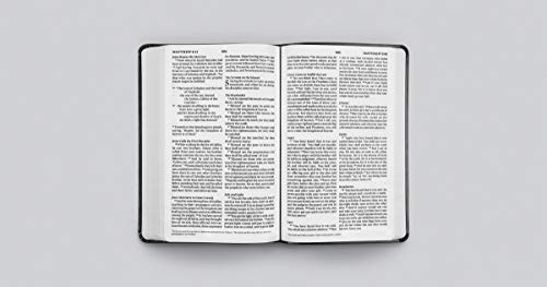 ESV Large Print Value Thinline Bible (TruTone, Black)