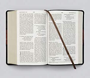 ESV Large Print Personal Size Bible (TruTone, Forest/Tan, Trail Design)