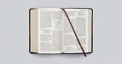 ESV Large Print Personal Size Bible (TruTone, Forest/Tan, Trail Design)