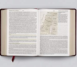 ESV Study Bible, Large Print (TruTone, Mahogany, Trellis Design)