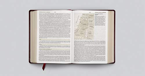 ESV Study Bible, Large Print (TruTone, Mahogany, Trellis Design)