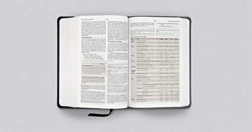 ESV Student Study Bible (TruTone, Navy/Slate, Timeless Design)