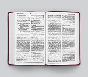 ESV Large Print Value Thinline Bible (TruTone, Raspberry, Floral Design)