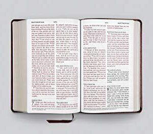 ESV Large Print Personal Size Bible (TruTone, Chestnut)