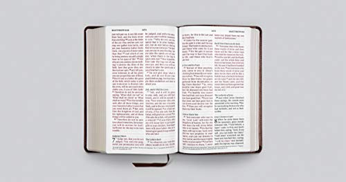 ESV Large Print Personal Size Bible (TruTone, Chestnut)