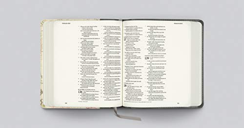 ESV Journaling Bible (Printed TruTone, Elegant Grace)