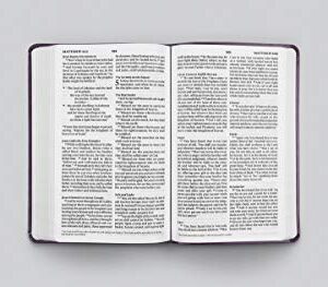 ESV Large Print Value Thinline Bible (TruTone, Lavender, Filigree Design)