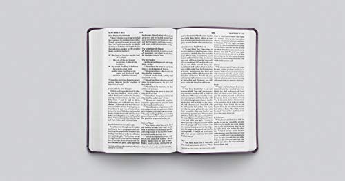 ESV Large Print Value Thinline Bible (TruTone, Lavender, Filigree Design)