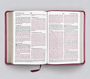 ESV Large Print Compact Bible(8 pt Lexicon type Print) (TruTone, Berry, Floral Design)