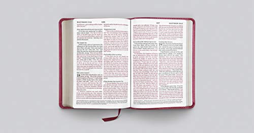 ESV Large Print Compact Bible(8 pt Lexicon type Print) (TruTone, Berry, Floral Design)