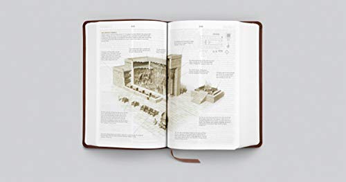 ESV Student Study Bible (TruTone, Chestnut)