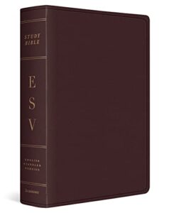 esv study bible, large print (bonded leather, burgundy)