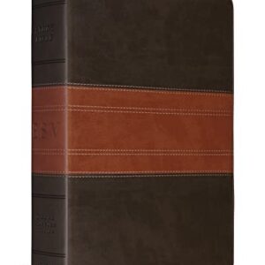 ESV Study Bible, Large Print (TruTone, Forest/Tan, Trail Design)