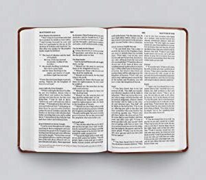 ESV Large Print Value Thinline Bible (TruTone, Tan, Ornament Design)