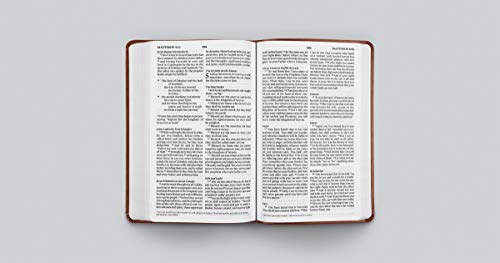 ESV Large Print Value Thinline Bible (TruTone, Tan, Ornament Design)