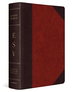 esv study bible, large print (trutone, brown/cordovan, portfolio design)