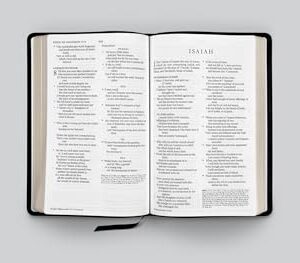 ESV Large Print Thinline Reference Bible (Black)