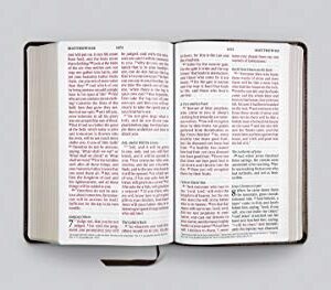 ESV Large Print Personal Size Bible (TruTone, Brown, Engraved Mantel Design)