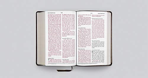 ESV Large Print Personal Size Bible (TruTone, Brown, Engraved Mantel Design)