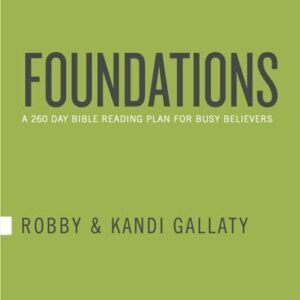 Foundations: A 260-Day Bible Reading Plan for Busy Believers (Journal) by Robby Gallaty (2015-11-01)