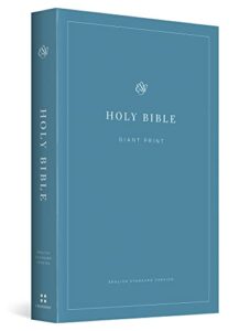 esv economy bible, giant print