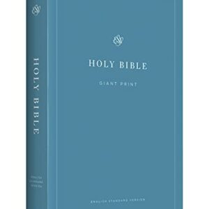 ESV Economy Bible, Giant Print