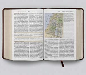 ESV Study Bible, Personal Size (TruTone, Brown)