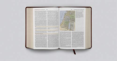 ESV Study Bible, Personal Size (TruTone, Brown)