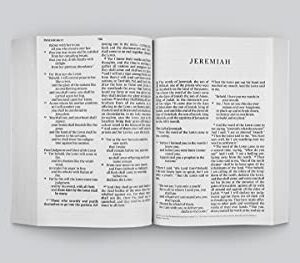 ESV Economy Bible, Giant Print