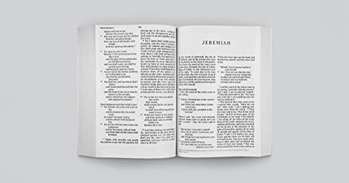 ESV Economy Bible, Giant Print