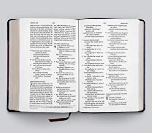 ESV Large Print Wide Margin Bible (TruTone, Brown/Cordovan, Portfolio Design)