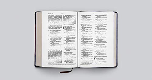 ESV Large Print Wide Margin Bible (TruTone, Brown/Cordovan, Portfolio Design)