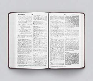 ESV Large Print Value Thinline Bible (TruTone, Mahogany, Border Design)