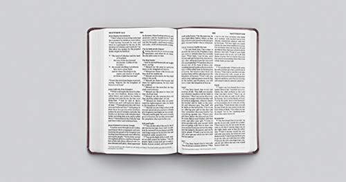 ESV Large Print Value Thinline Bible (TruTone, Mahogany, Border Design)