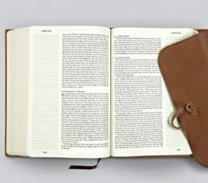 ESV Single Column Journaling Bible, Large Print (Brown, Flap with Strap)