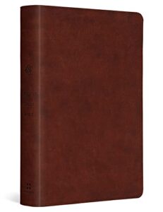 esv student study bible (trutone, chestnut)