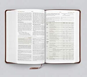 ESV Student Study Bible (TruTone, Chestnut)