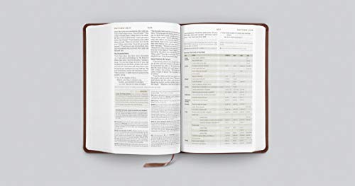 ESV Student Study Bible (TruTone, Chestnut)