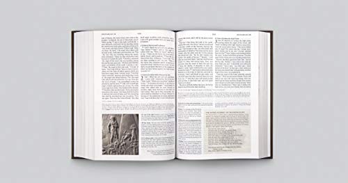 ESV Archaeology Study Bible