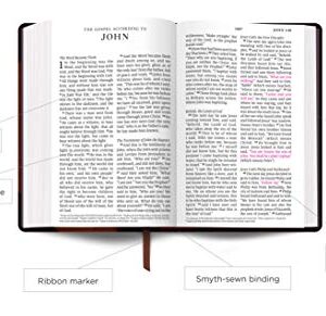 ESV Large Print Personal Size Bible (TruTone, Chestnut)