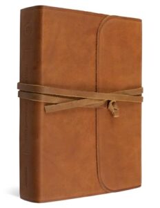 esv single column journaling bible, large print (brown, flap with strap)