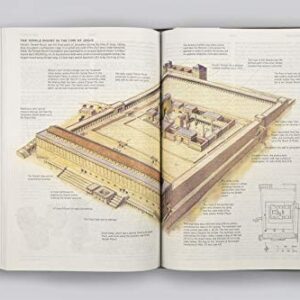 ESV Archaeology Study Bible