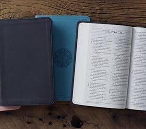 ESV Large Print Value Thinline Bible (TruTone, Black)